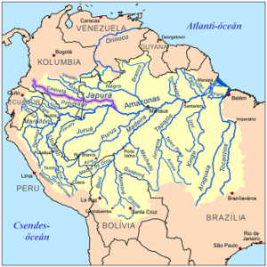 Lost cities of the Amazon: how science is revealing ancient garden ...